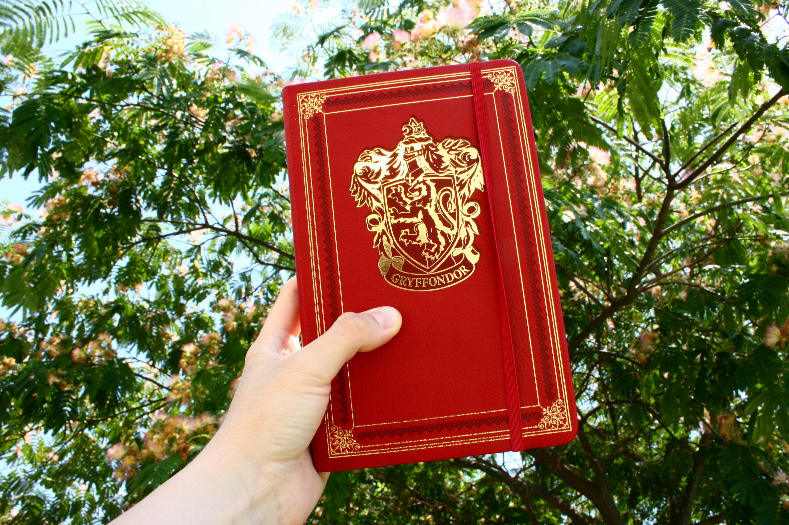 Quatre exercices d'écriture créative à réaliser dans votre jardin